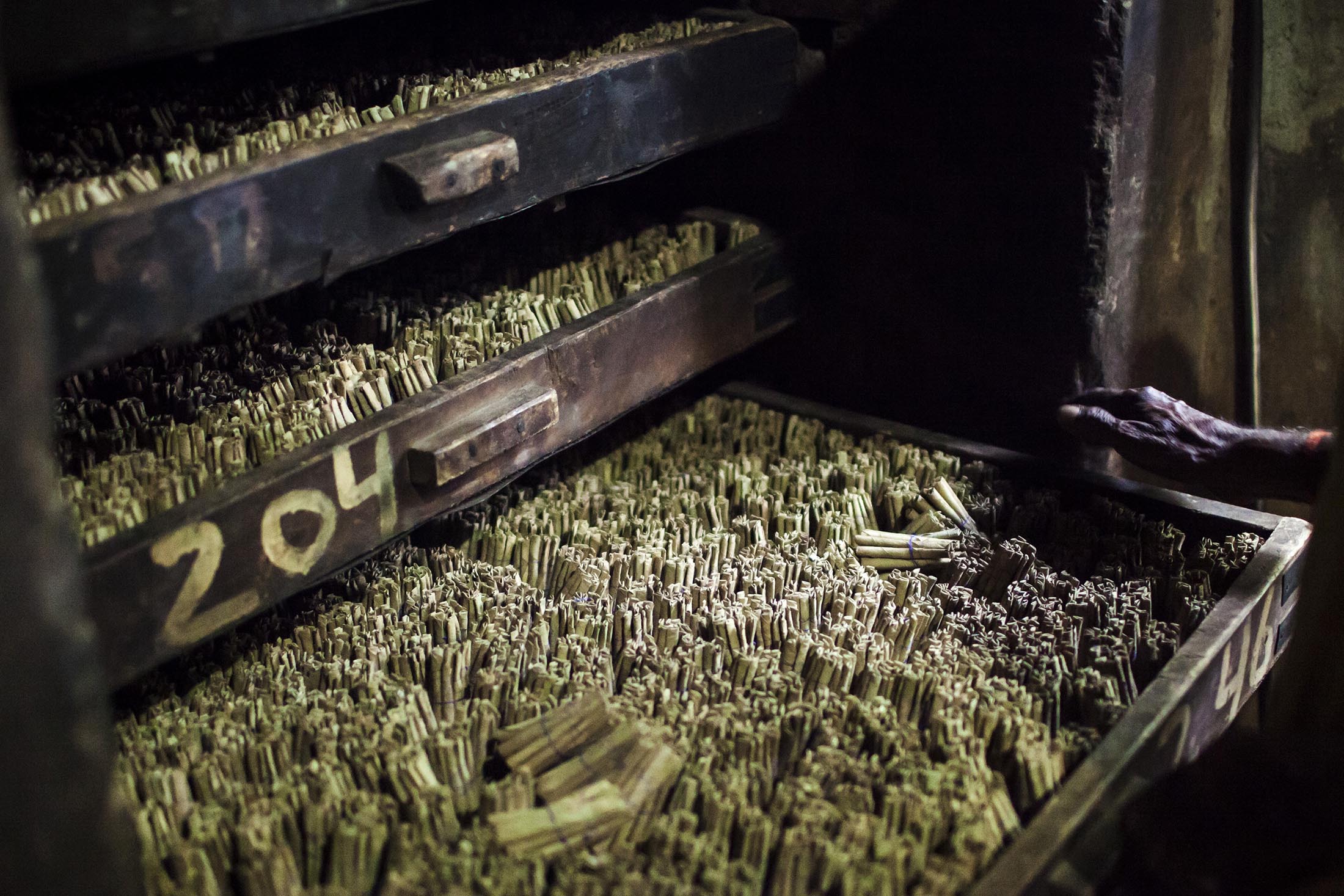 Bidis: The Hand-Rolled Cigarettes That Keep More Than Four Million ...
