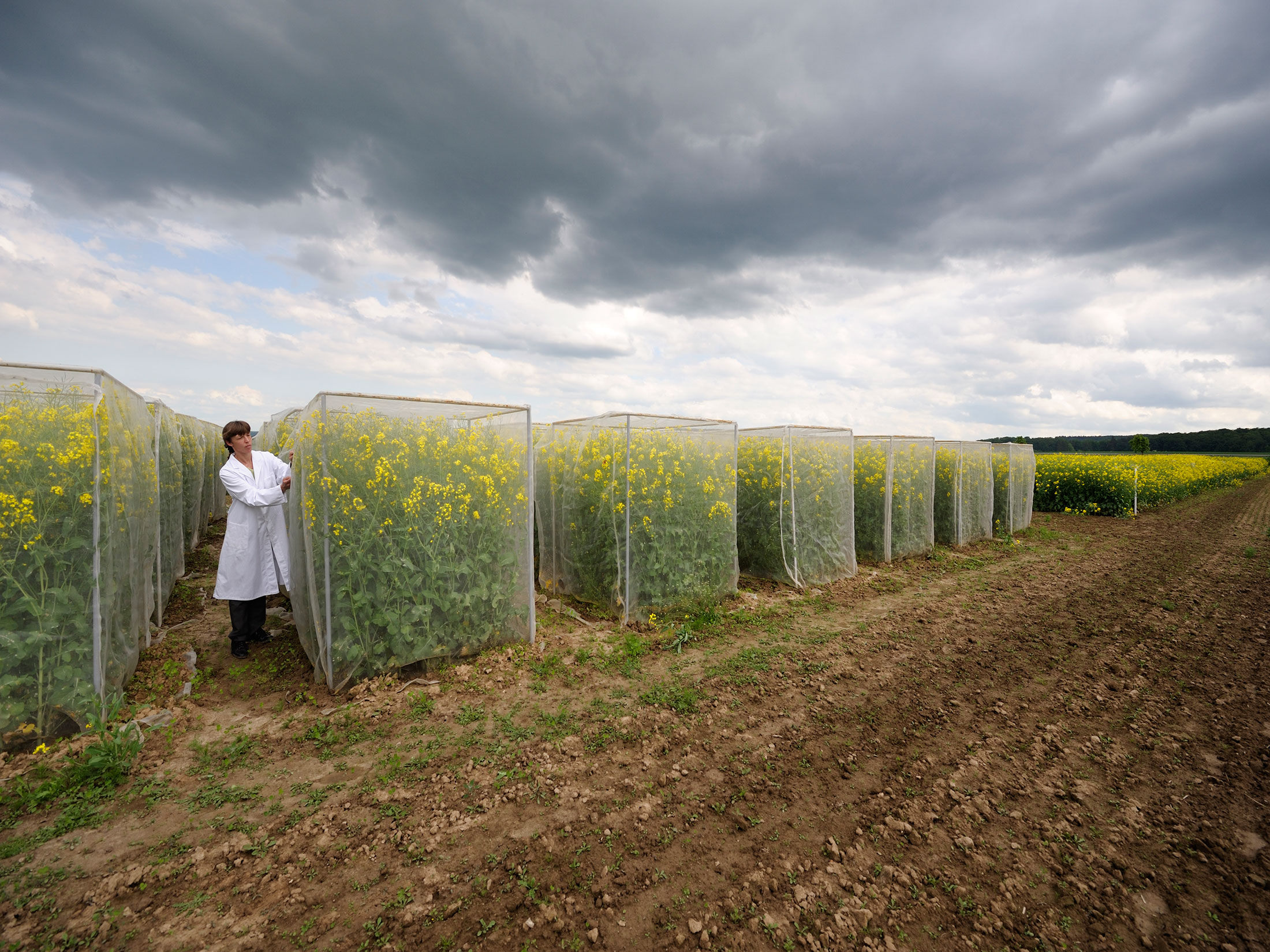 14 Smart Inventions Inspired by Nature: Biomimicry - Bloomberg Business