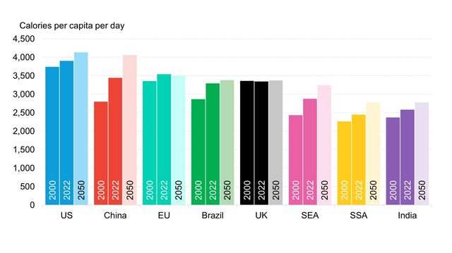 Plate of the Future: 2050 Food Demand and Dietary Trends | BloombergNEF