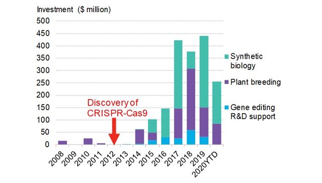 Advancing Agriculture: Gene Editing | BloombergNEF