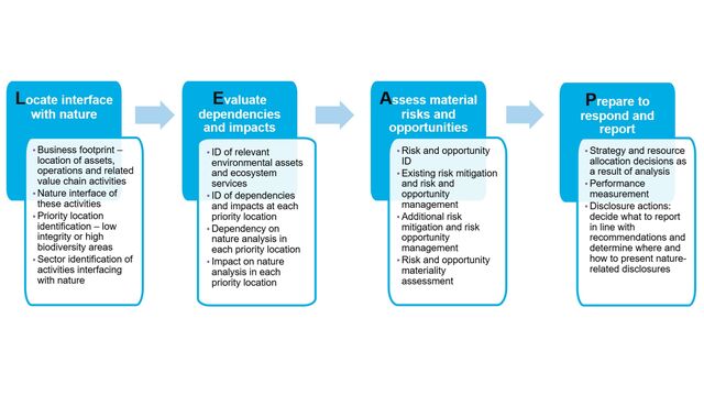NetZero Pathfinders Policy Monthly: Nature | BloombergNEF
