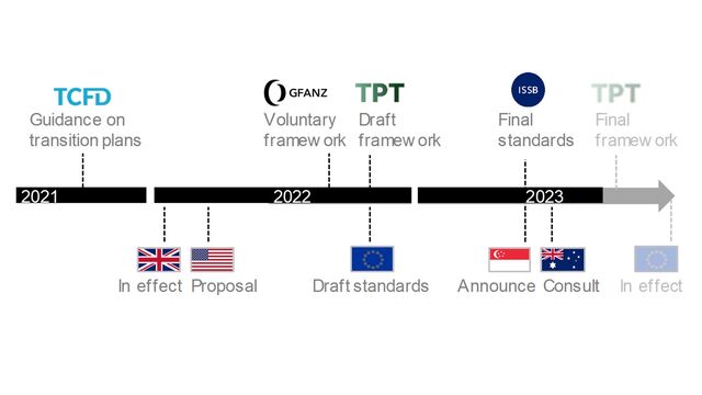 Understanding Transition Plan Guidance | BloombergNEF