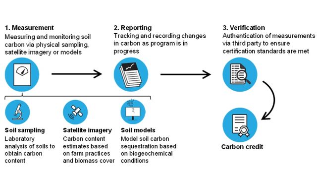 MRV: Three Letters That Hold Key to Locking Up Soil Carbon | BloombergNEF