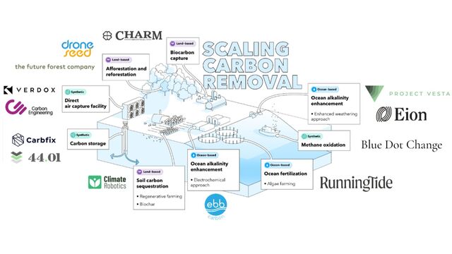 ESG Forum Presentation: Scaling Effective Carbon Removal | BloombergNEF