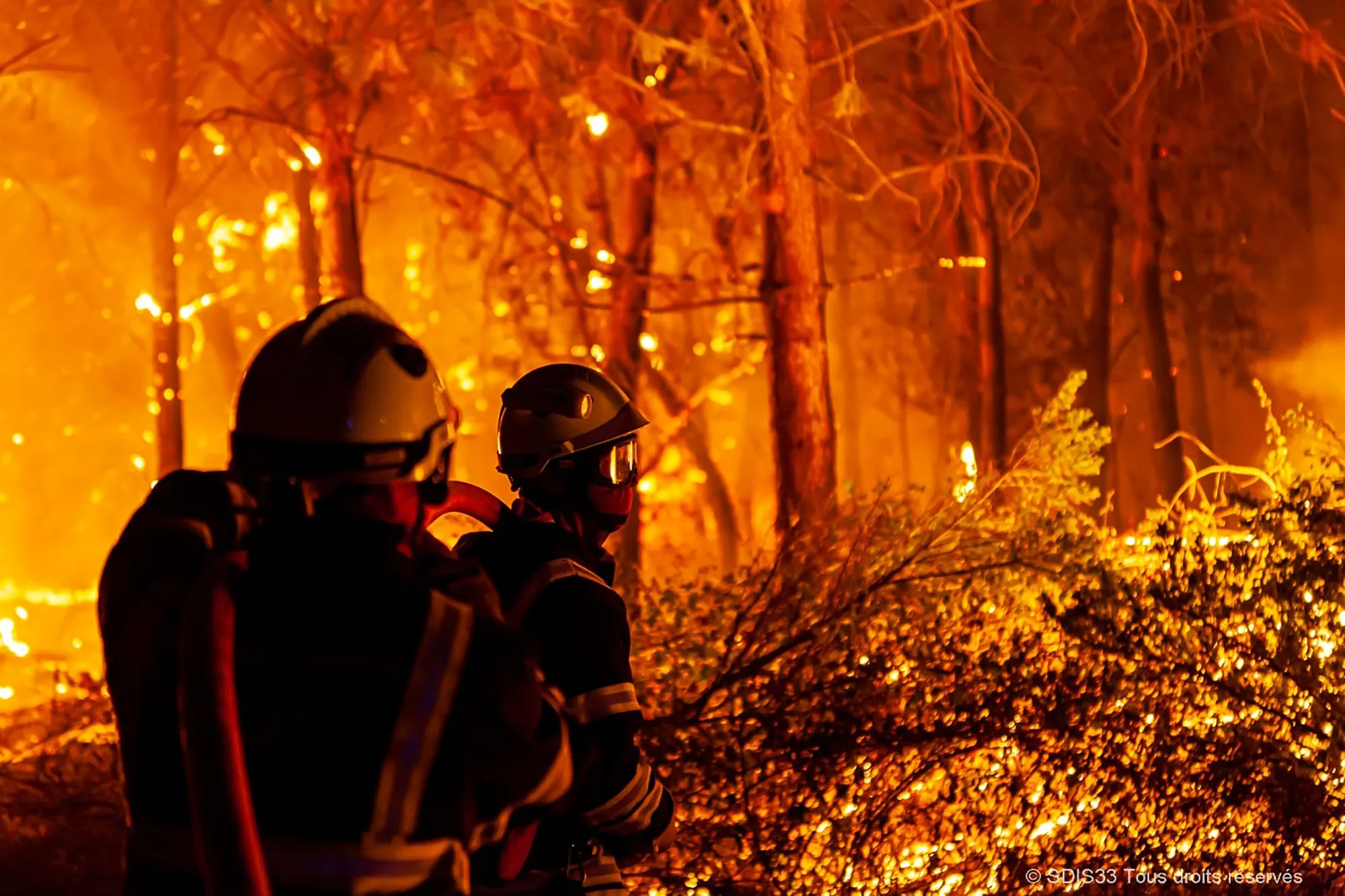 France Wildfires: European Firefighters Join Battle to Stop Forest ...