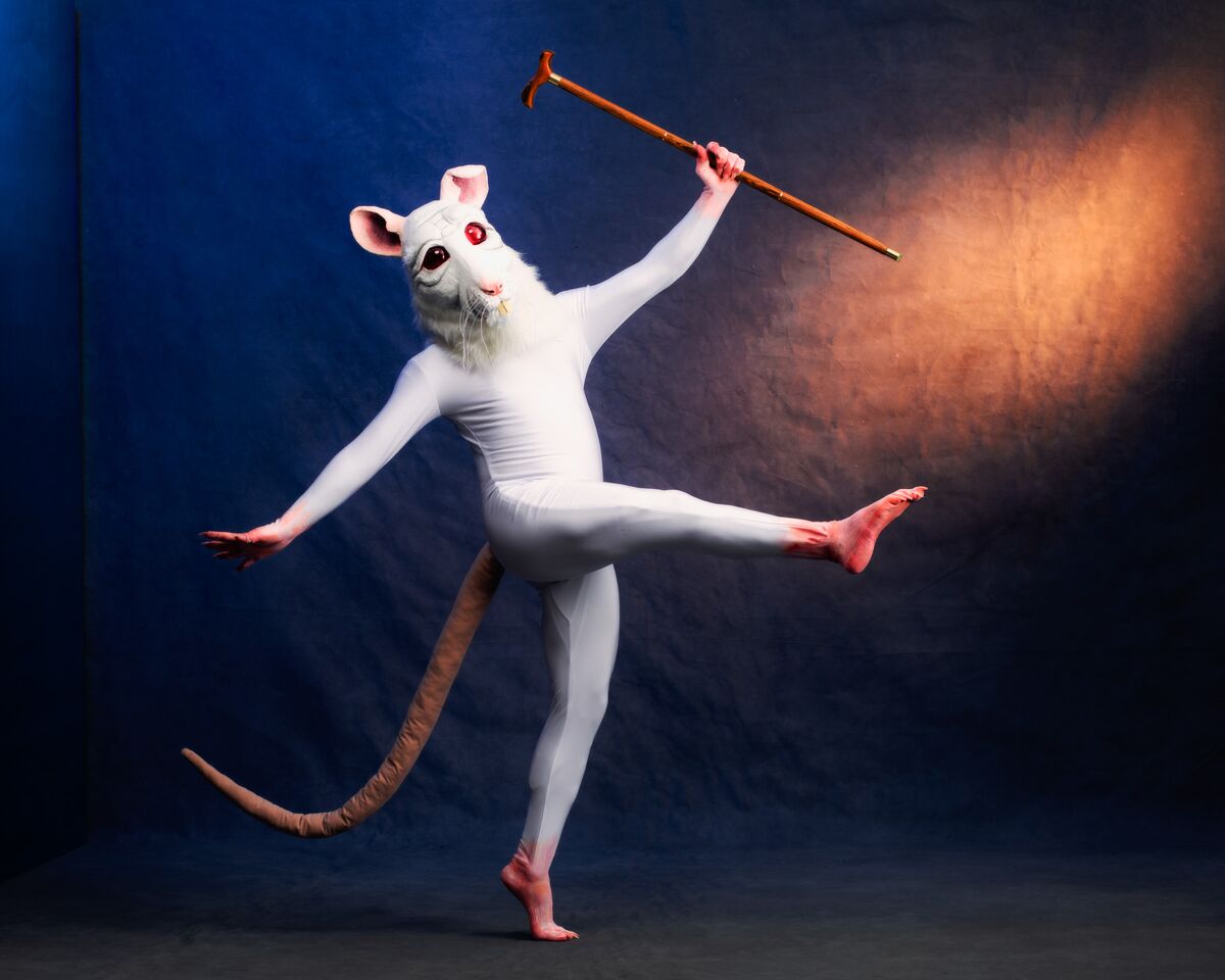 Lab Rats Are Helping Unlock Secrets of Staying Young - Bloomberg