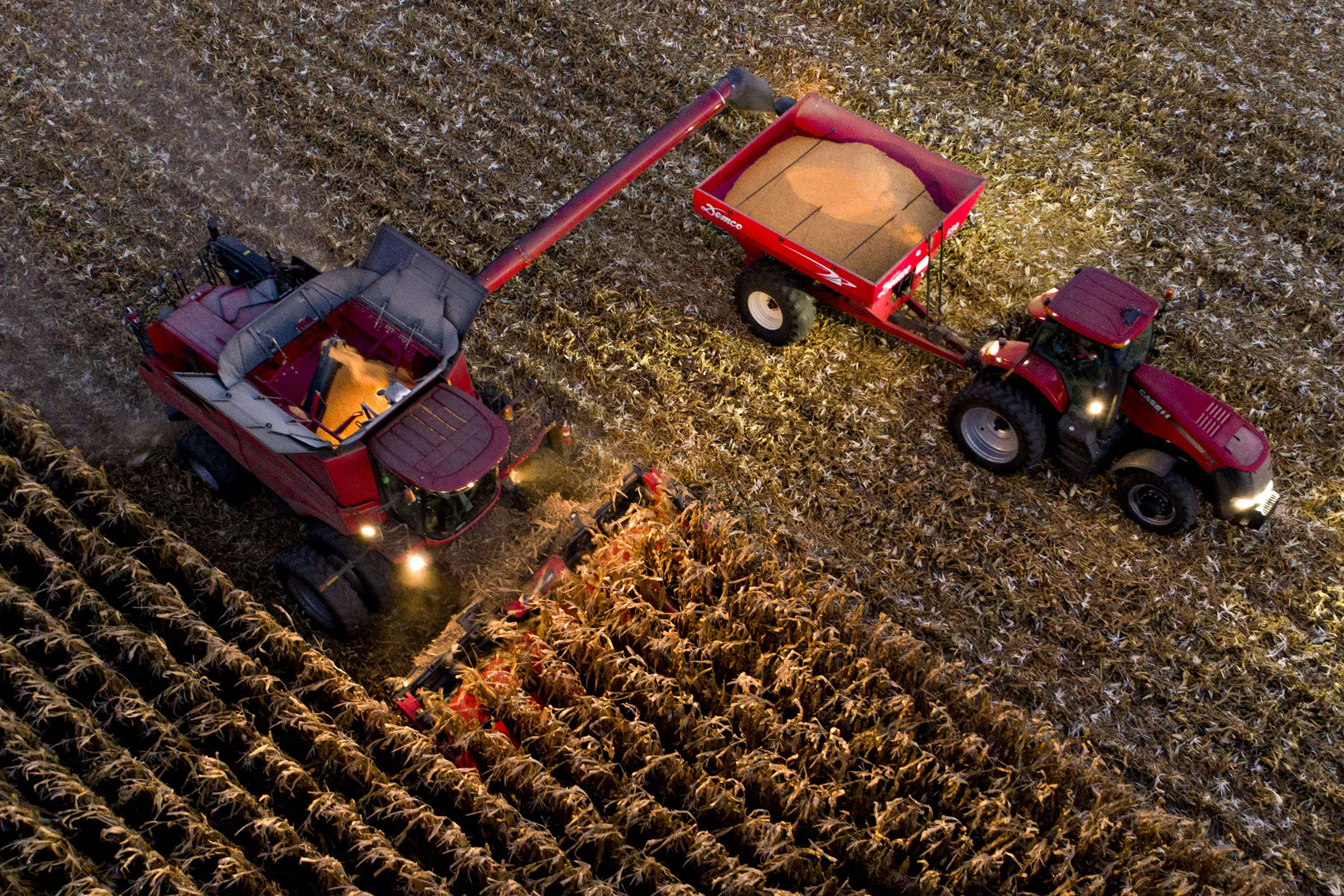Crops Decline as Traders Want to See Evidence of China Buying - Bloomberg