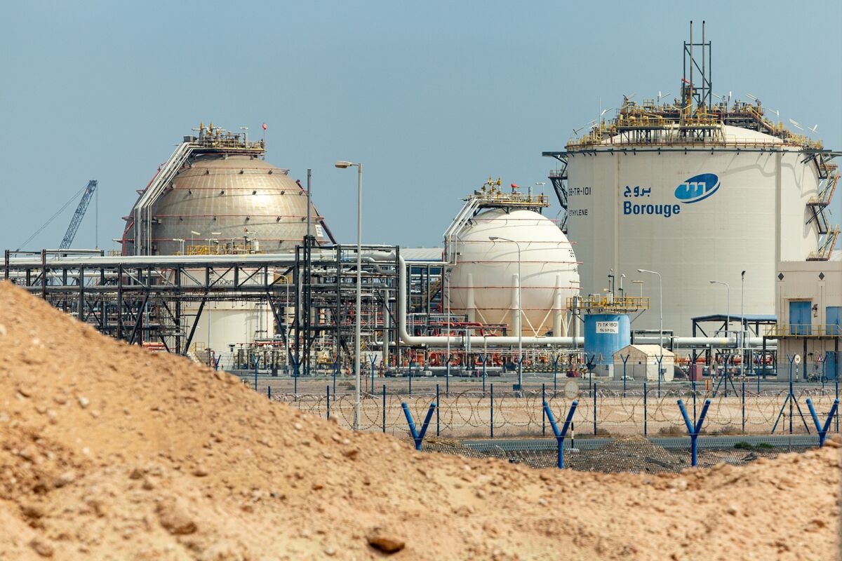 UAE Chemical Maker Borouge Pursues Target in Asia in Growth Push ...
