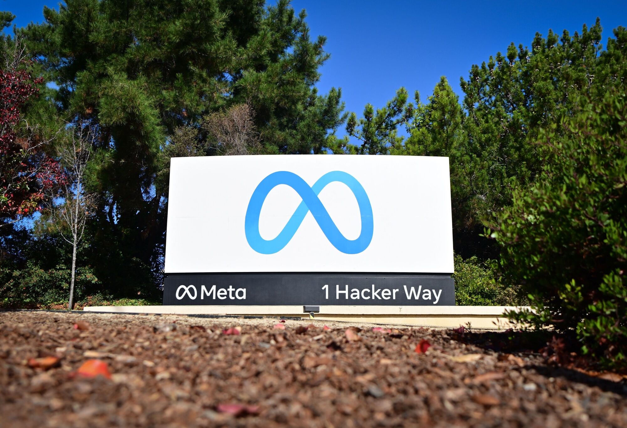 Meta (META) May Issue More Debt at 'Measured Pace,' CFO Susan Li Says ...