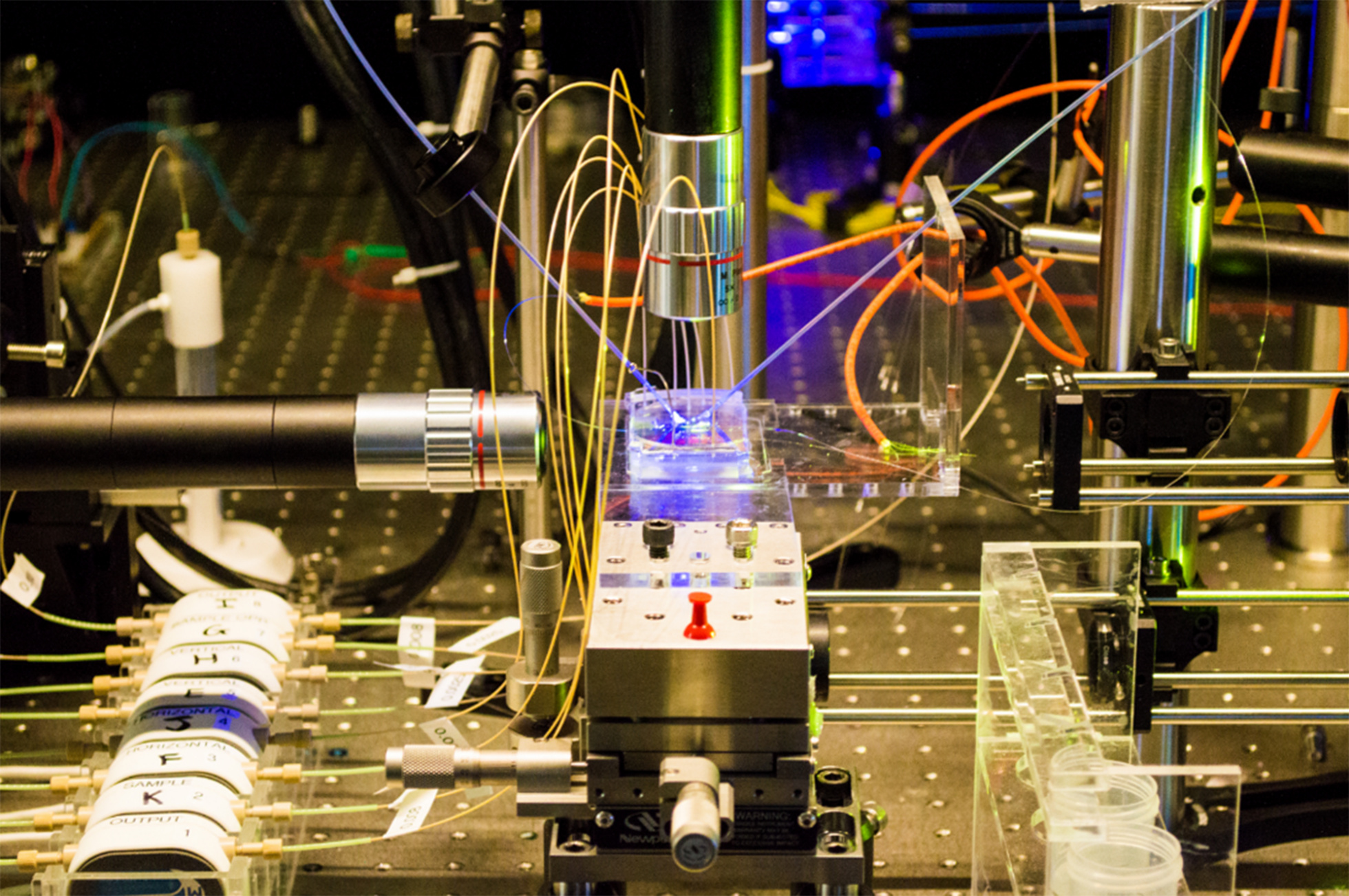 Prototipo de chip de clasificación celular de Engender Technologies