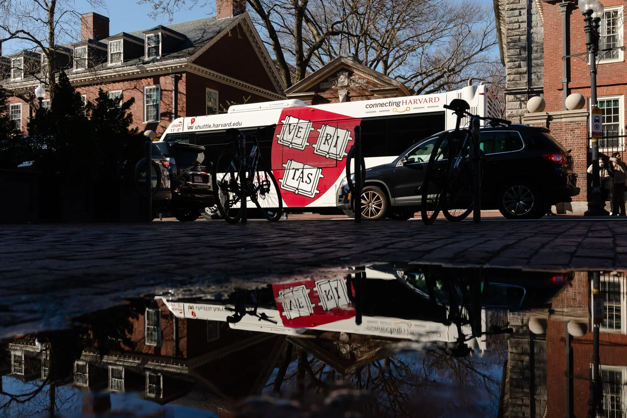 Harvard frena prohibición de Trump a estudiantes internacionales ...
