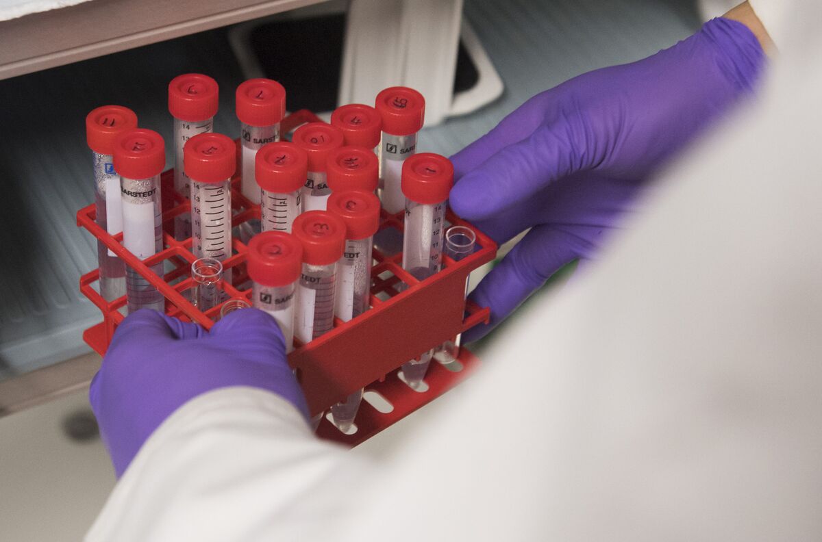 Solid Bio (SLDB) Shares Fall 40% After Gene Therapy Issues - Bloomberg