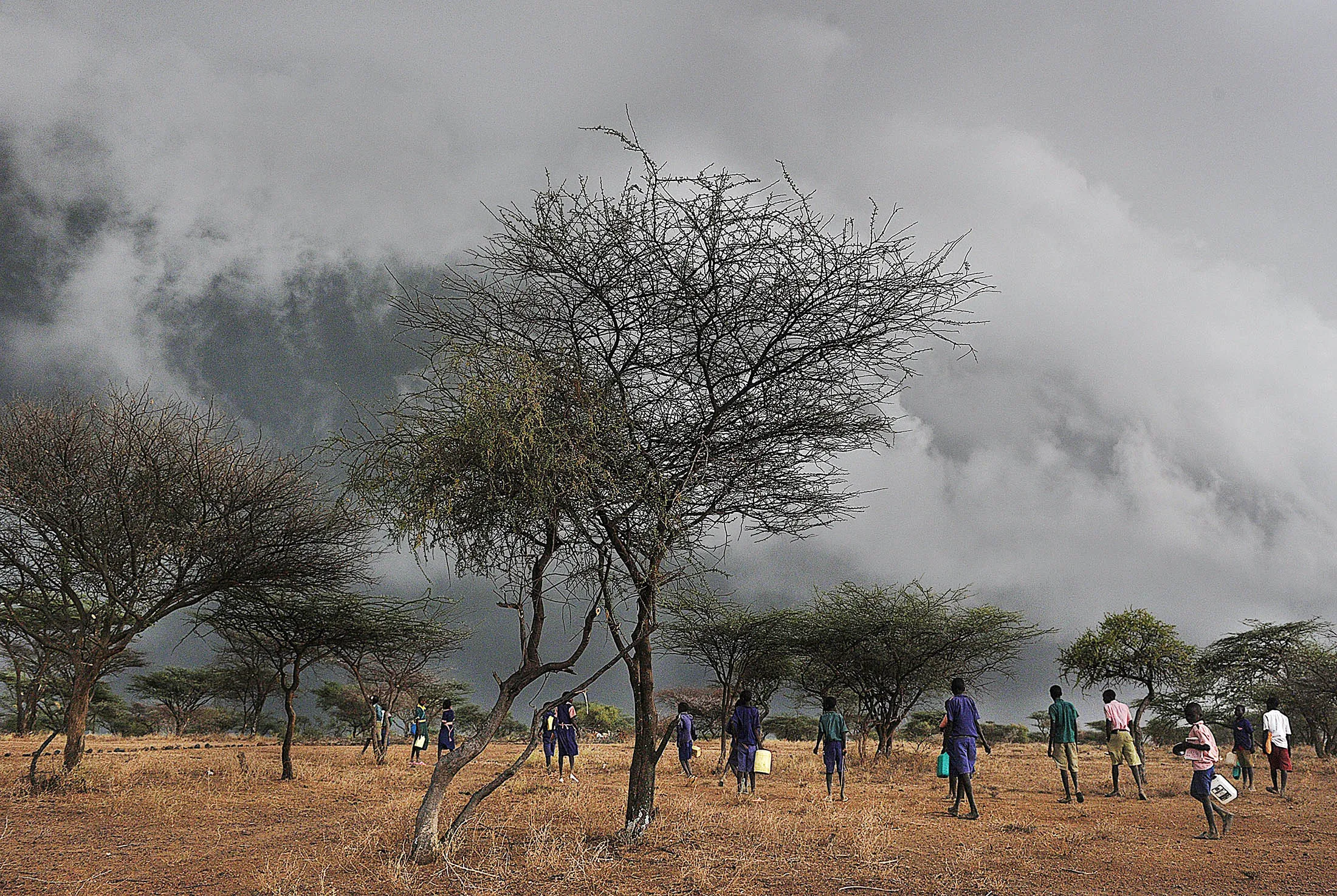 Kenya Forecasts El Nino Unlikely to Match Severity of 1997 - Bloomberg