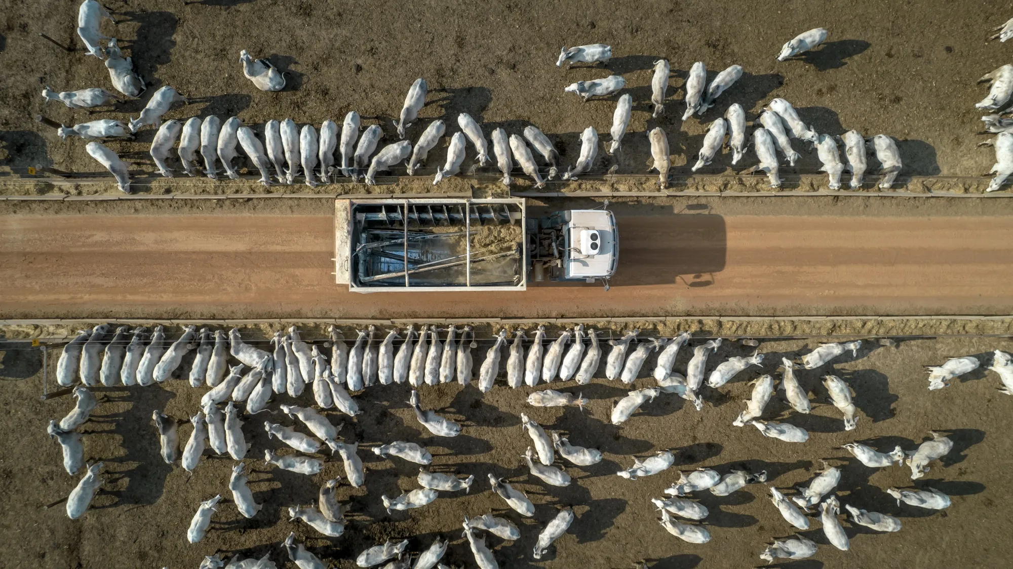 From Meat to Grains, Trade War Is Boon to Brazil, Argentina - Bloomberg