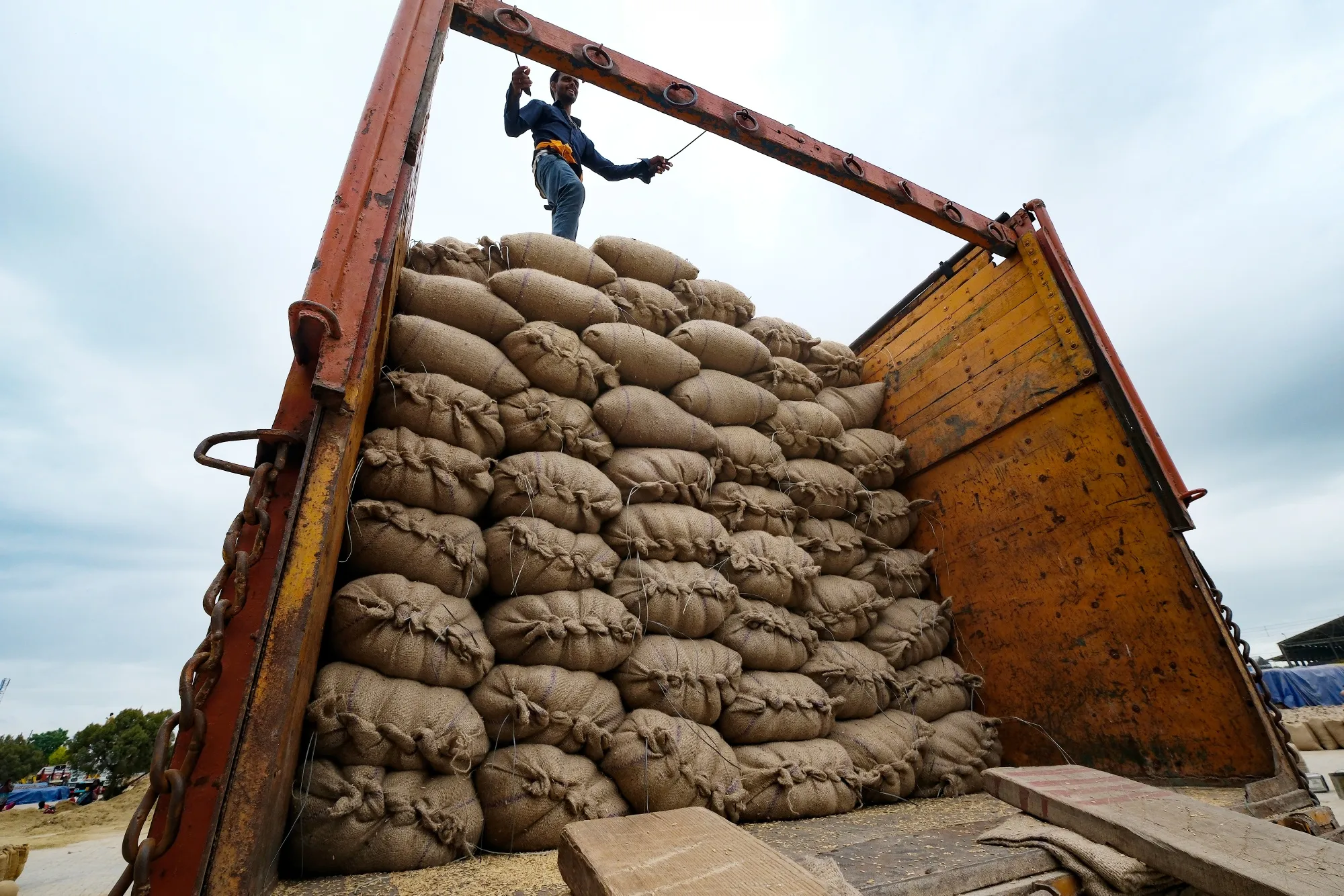 Rice export store