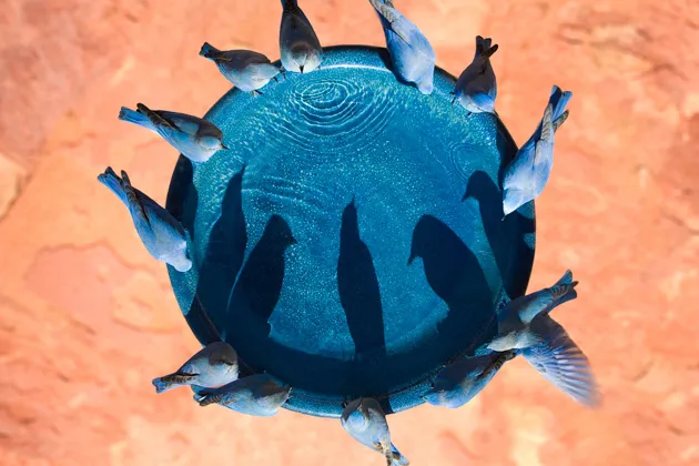 Hey, Twitter: Shouldn't It Be About the Users? - Bloomberg