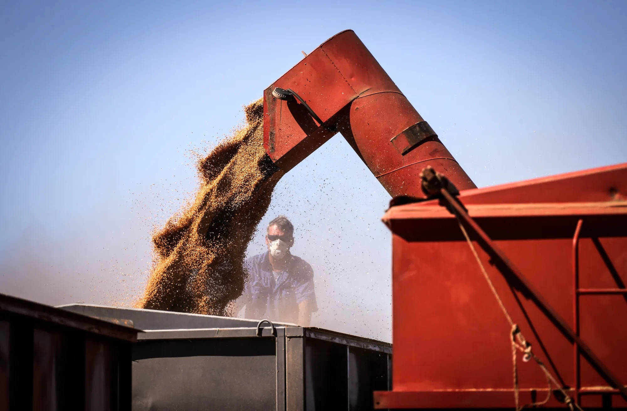 Australia’s Wheat Crop Outlook Raised to Third-Largest on Record ...
