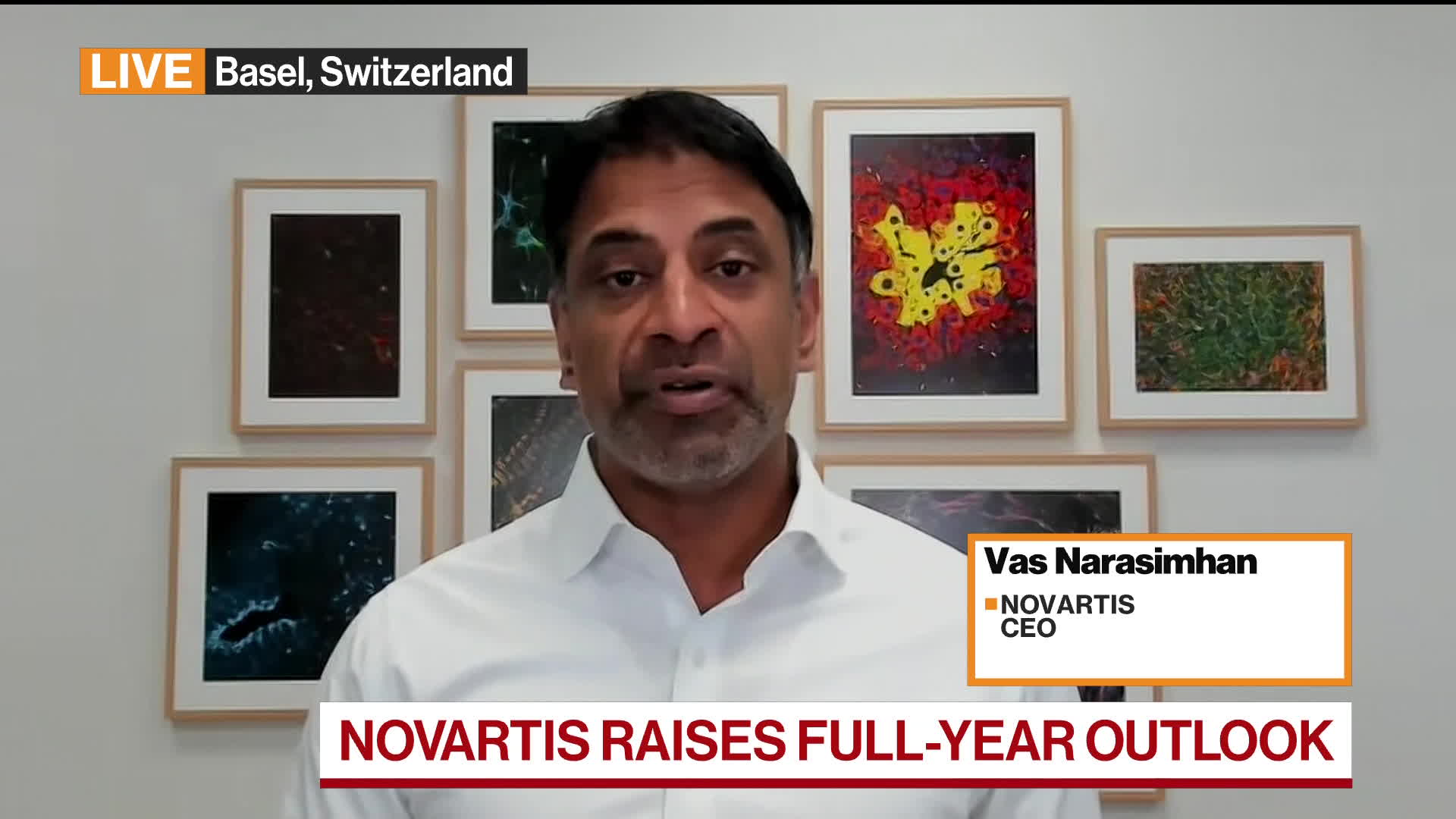 Watch Novartis CEO: Broadly Positive About Business Momentum - Bloomberg