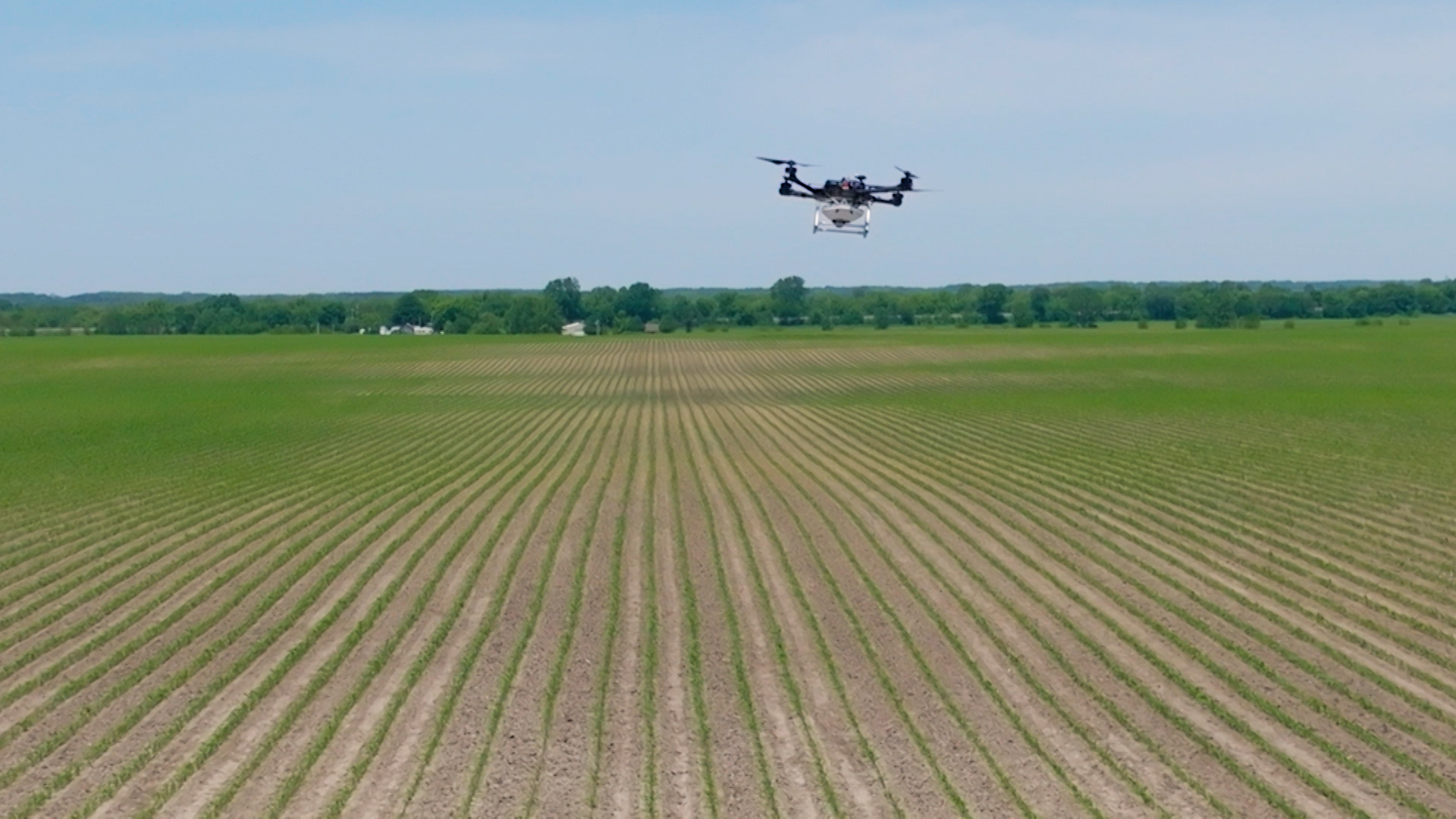 Watch Weed-Killing AI Drones May Be the Future of Farming - Bloomberg