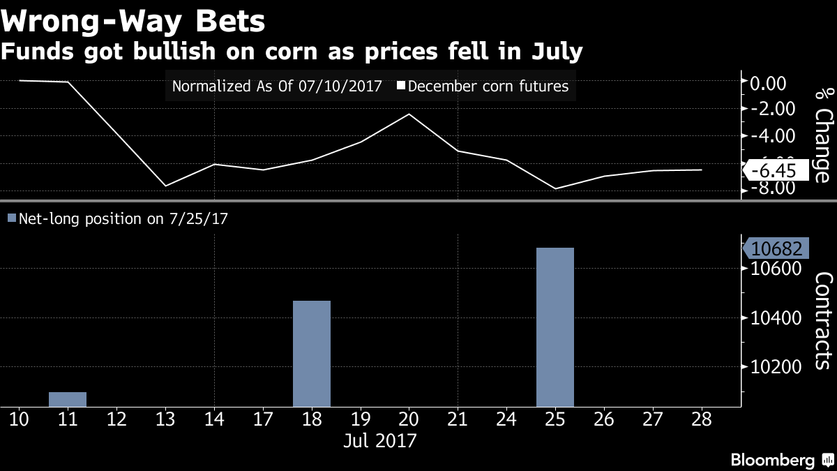 CBOT Corn – SOW Options
