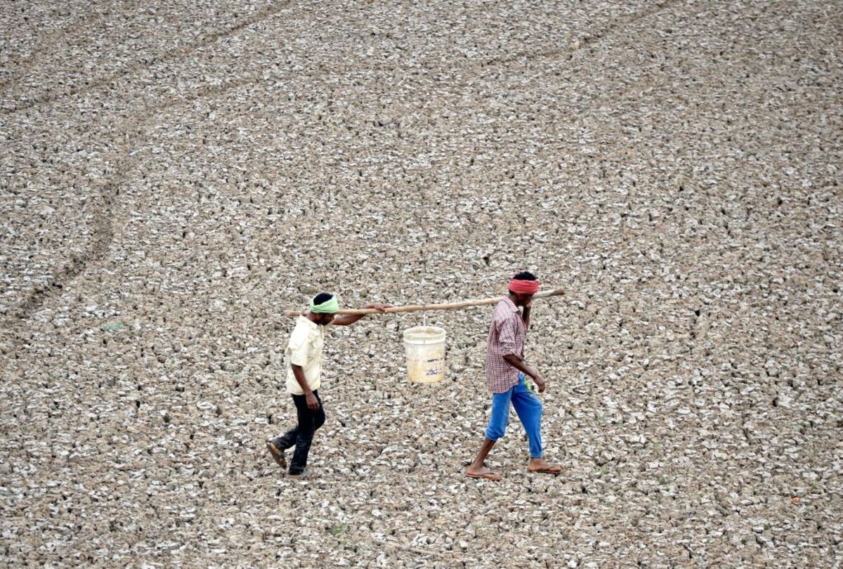 India Is the World's Biggest Exporter of Water Despite Shortages ...