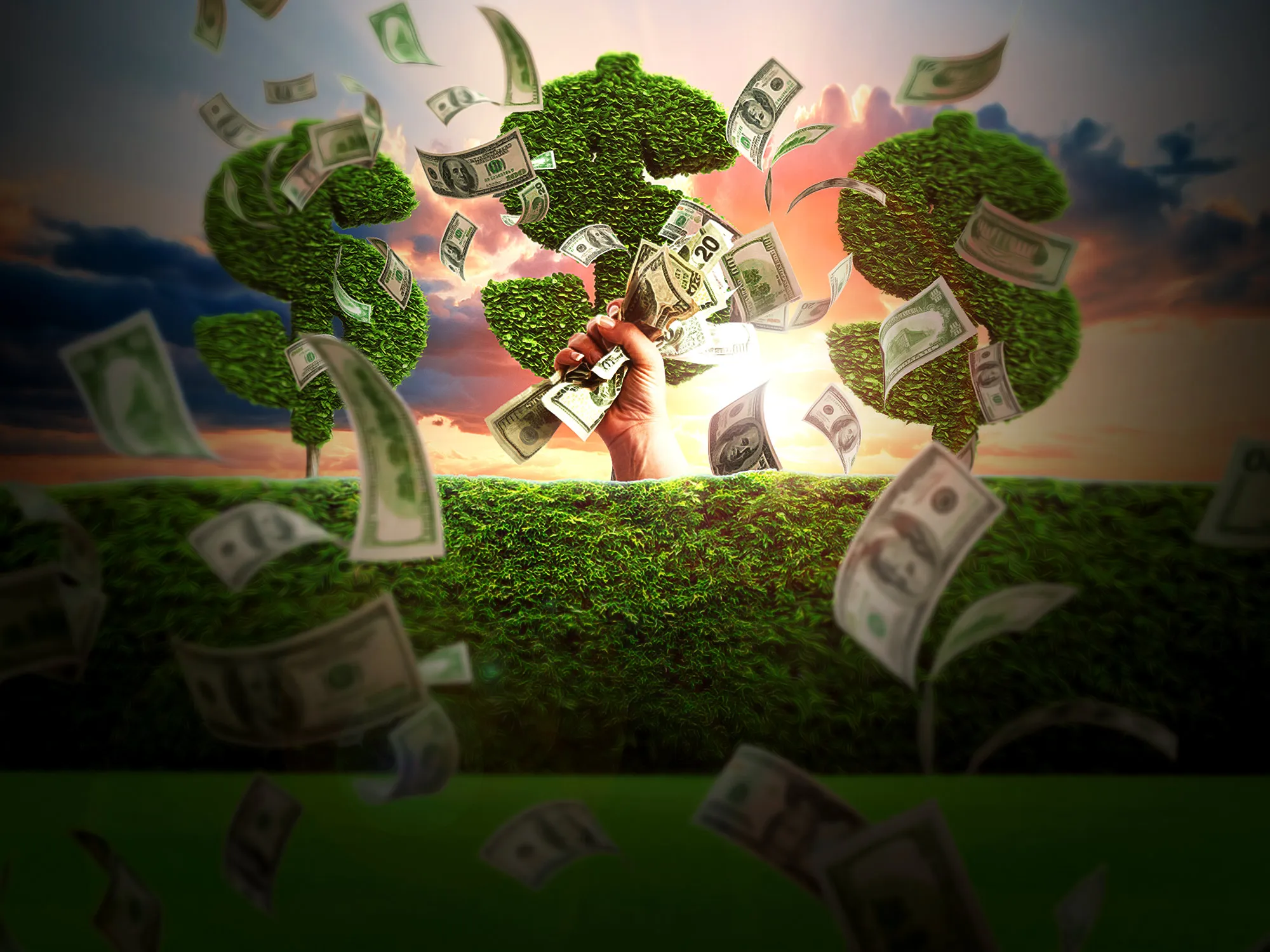 Best in Class: The Bloomberg Open, Americas Edition - Bloomberg