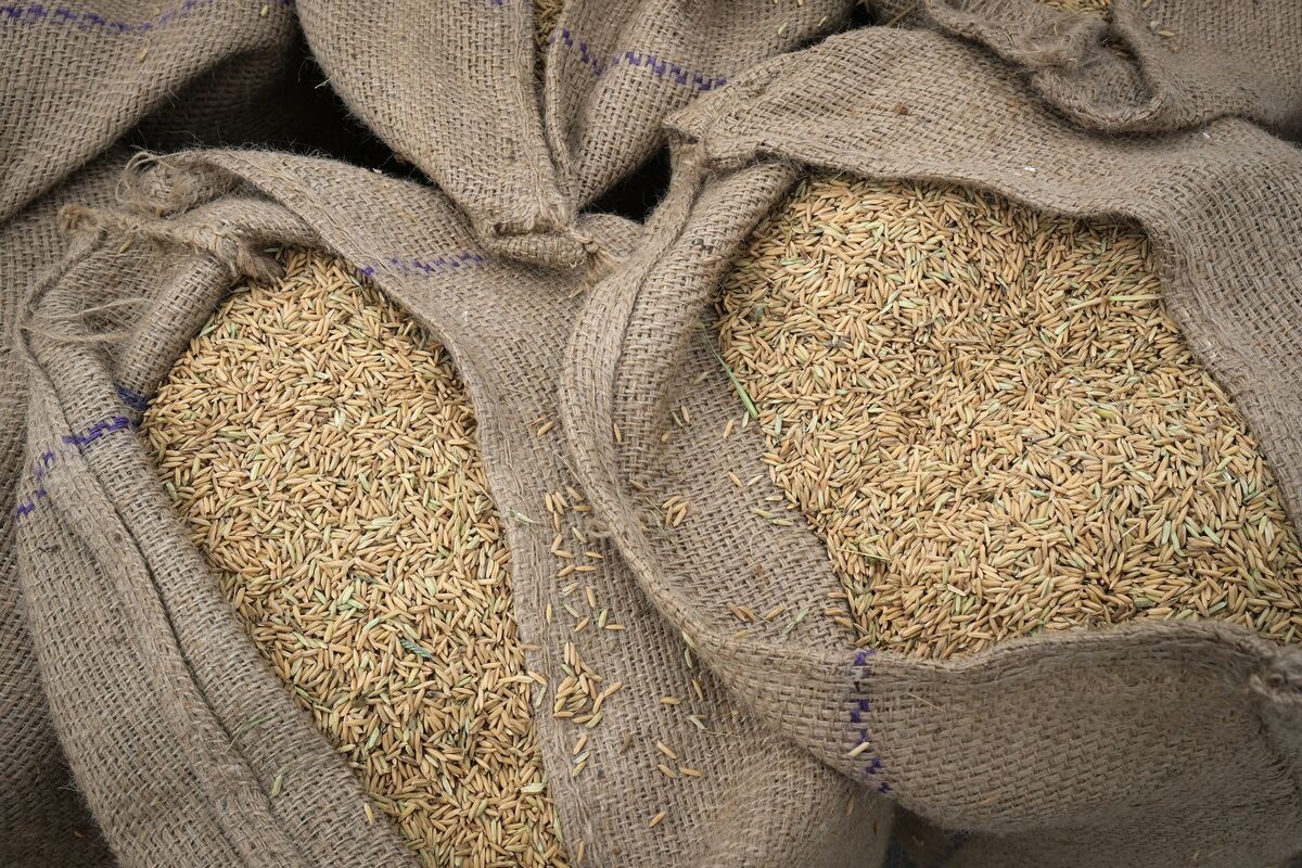 Union Budget 2023: India to Cut Food Subsidy Bill, Increase Farm Credit ...