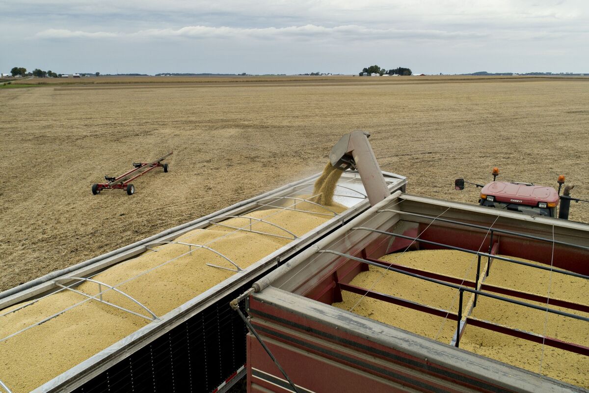 China’s Imports of U.S. Soybeans Drop to 3-Month Low in October - Bloomberg