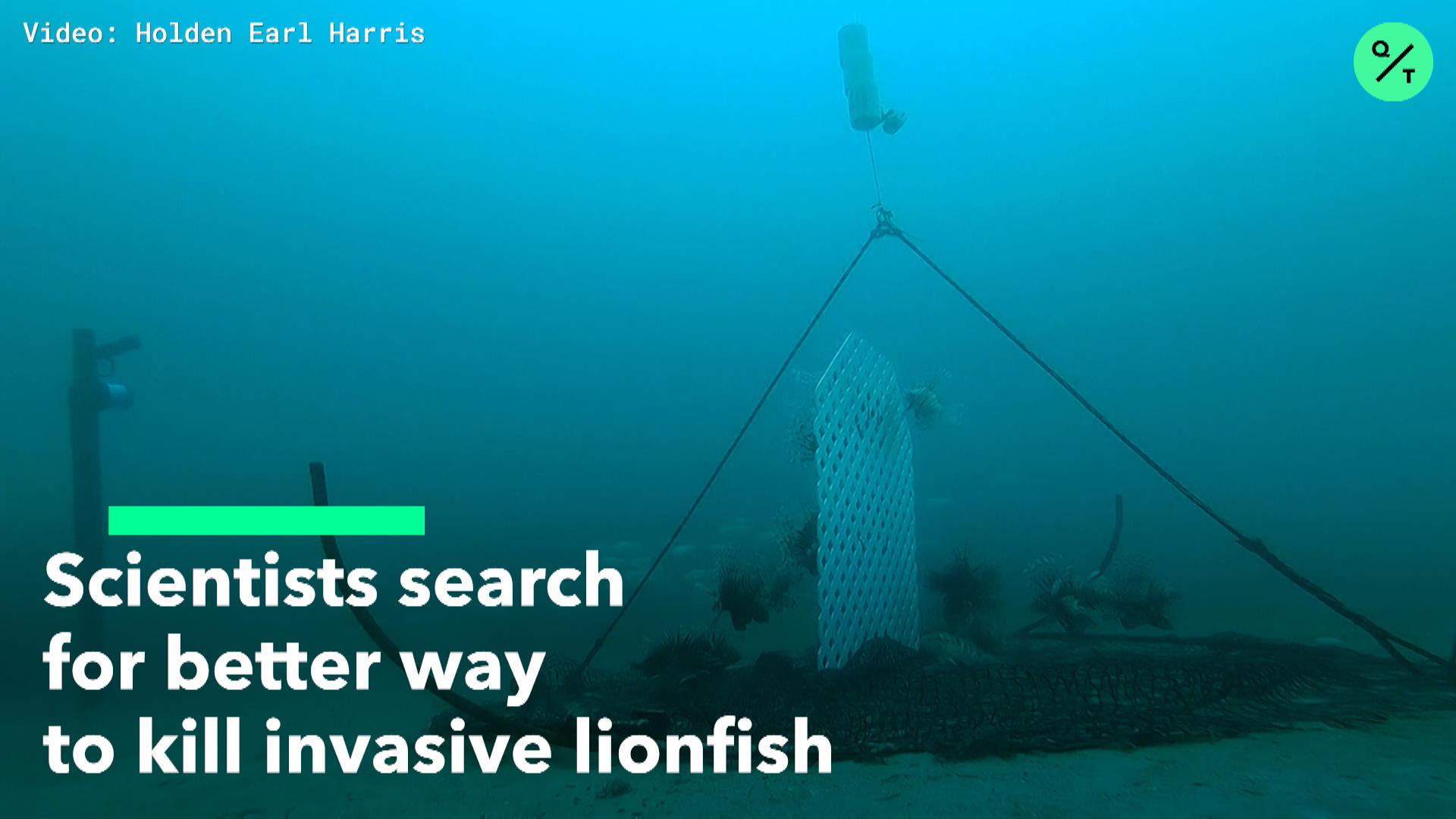 Watch Scientists Target Lionfish with New Trap - Bloomberg