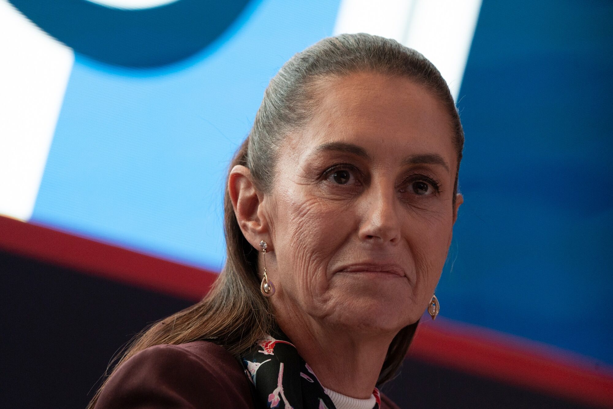 Sheinbaum Aide Sees ‘Gigantic’ Capital Needs for Mexican Energy - Bloomberg