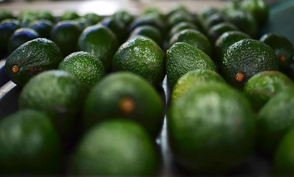 Mexican Avocado Price Climbs as Tariffs Add to Supply Risks - Bloomberg