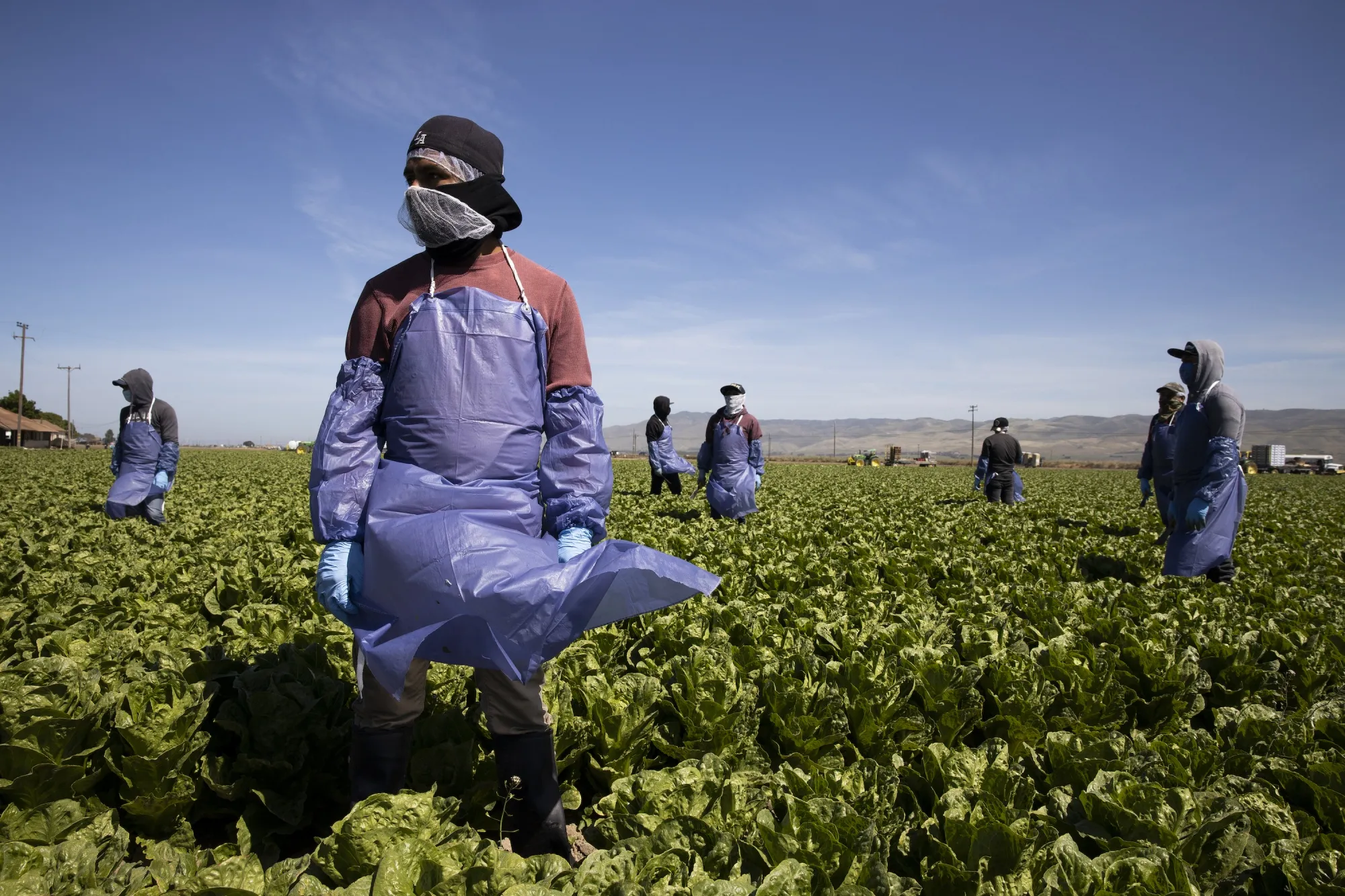 US House Members Reintroduce Farm Work Immigration Reform Bill - Bloomberg