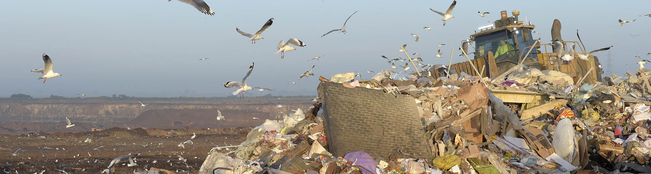Rotting Garbage Will Light 80,000 Aussie Homes - Bloomberg