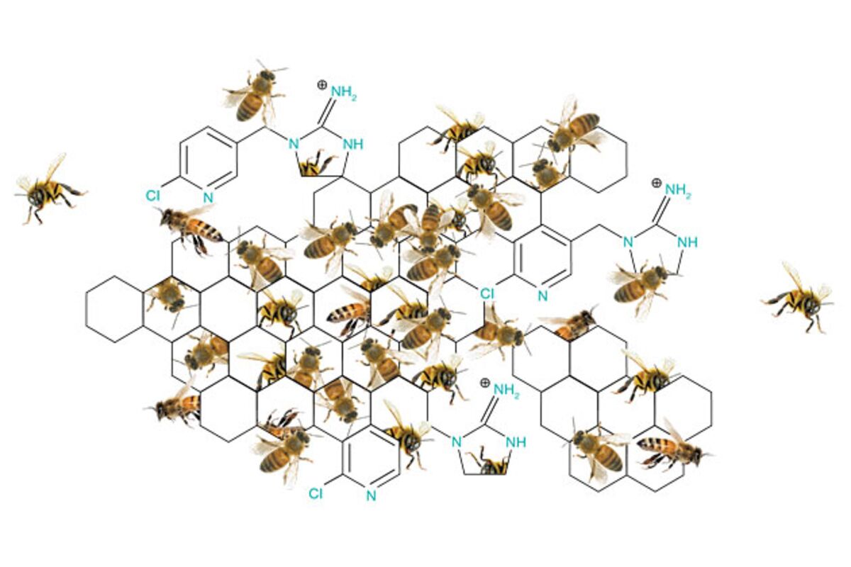 Europe's Bees Could Get a Reprieve From Pesticides - Bloomberg