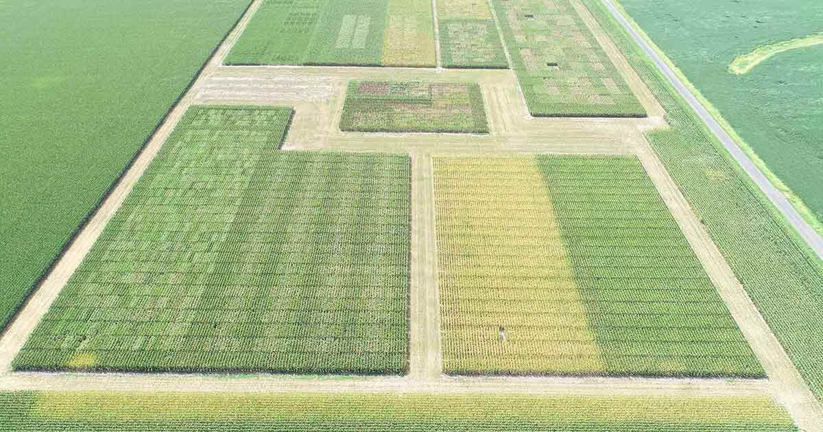 How Microbes Can Help Solve the World’s Fertilizer Problems - Bloomberg