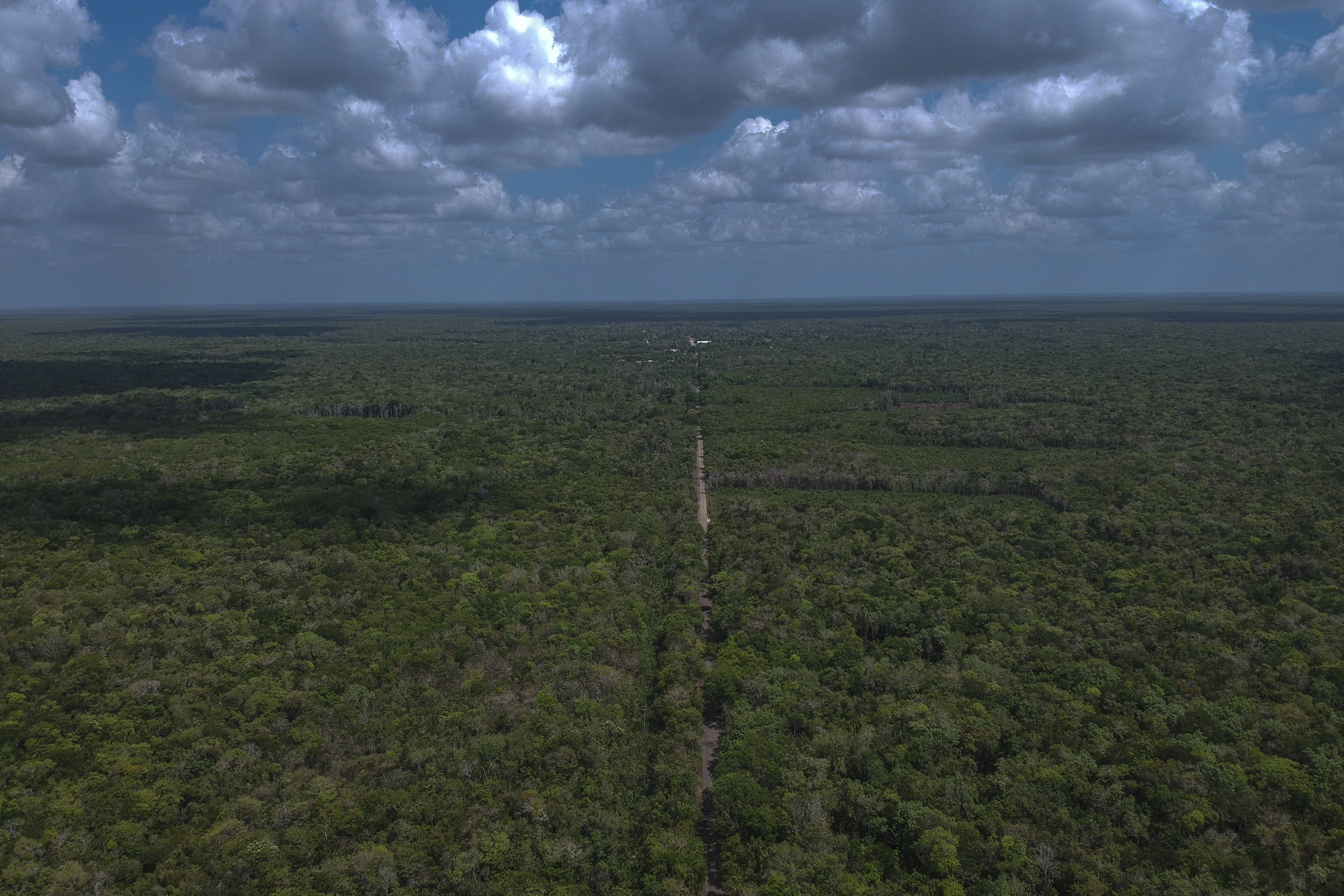 SBTi Technical Council Warns of Damage From Carbon Offsets Plan - Bloomberg