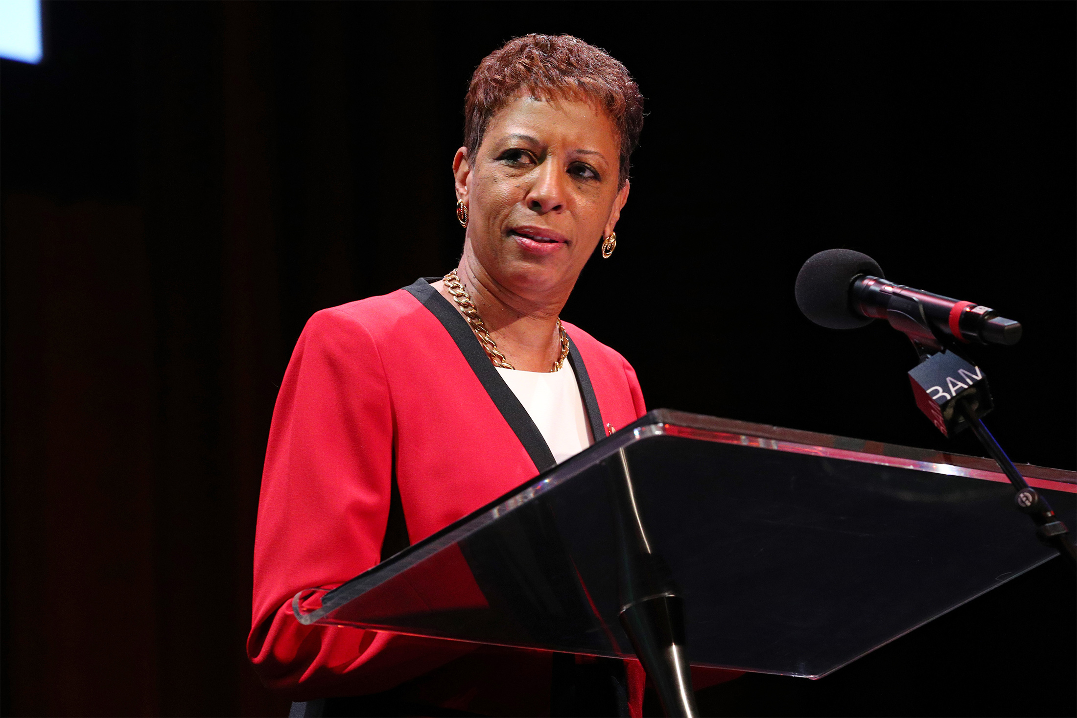 NYC Council Members Who Voted No on $101 Billion Budget See Projects ...