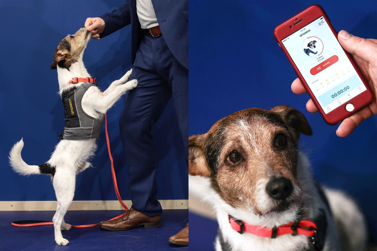 Gadgets at Mobile World: From a Smart Dog Vest to 4G on the Moon ...