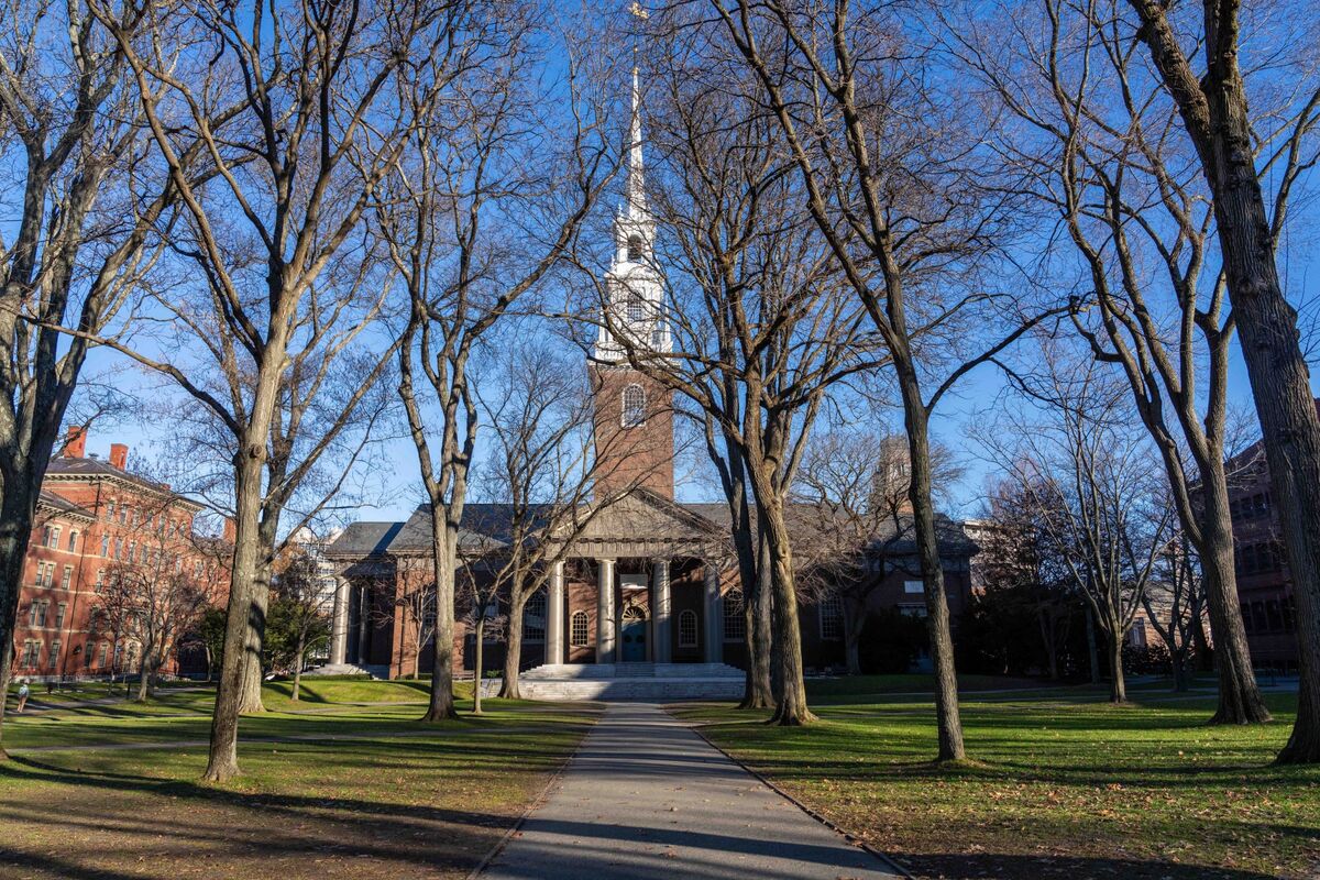 Harvard Cut Pay to Endowment Head Narvekar in 2022 Amid Investment ...