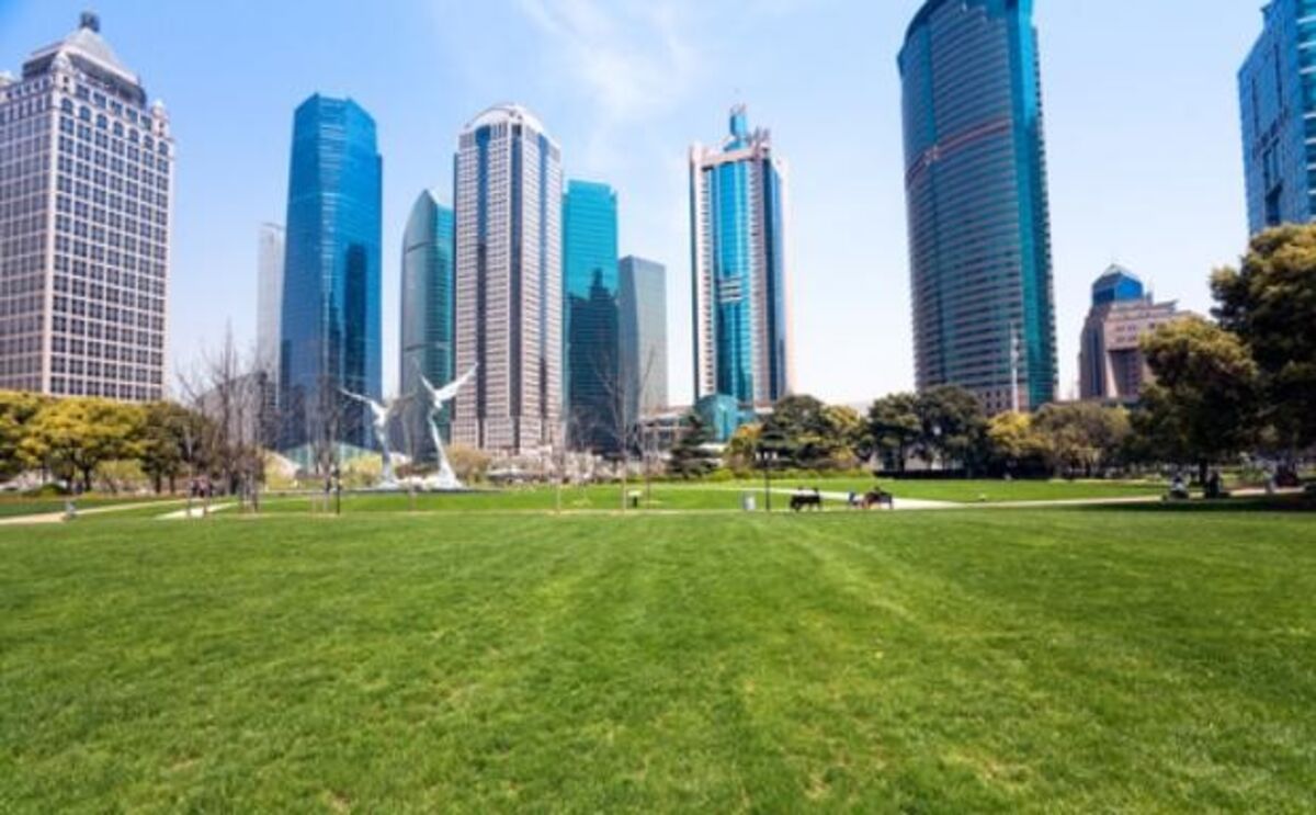 The Completely Puzzling Relationship Between City Population and Parks ...