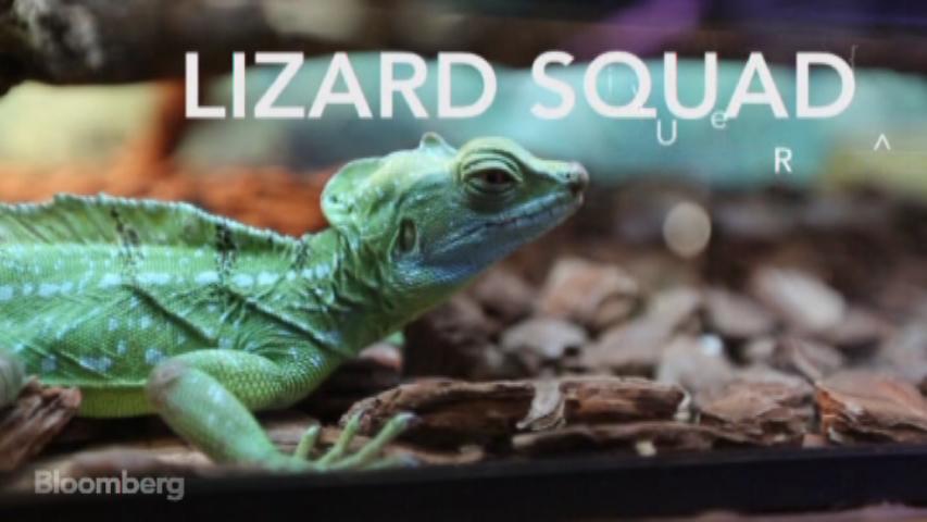 Watch Lizard Squad Hacker Group: Who Are They? - Bloomberg