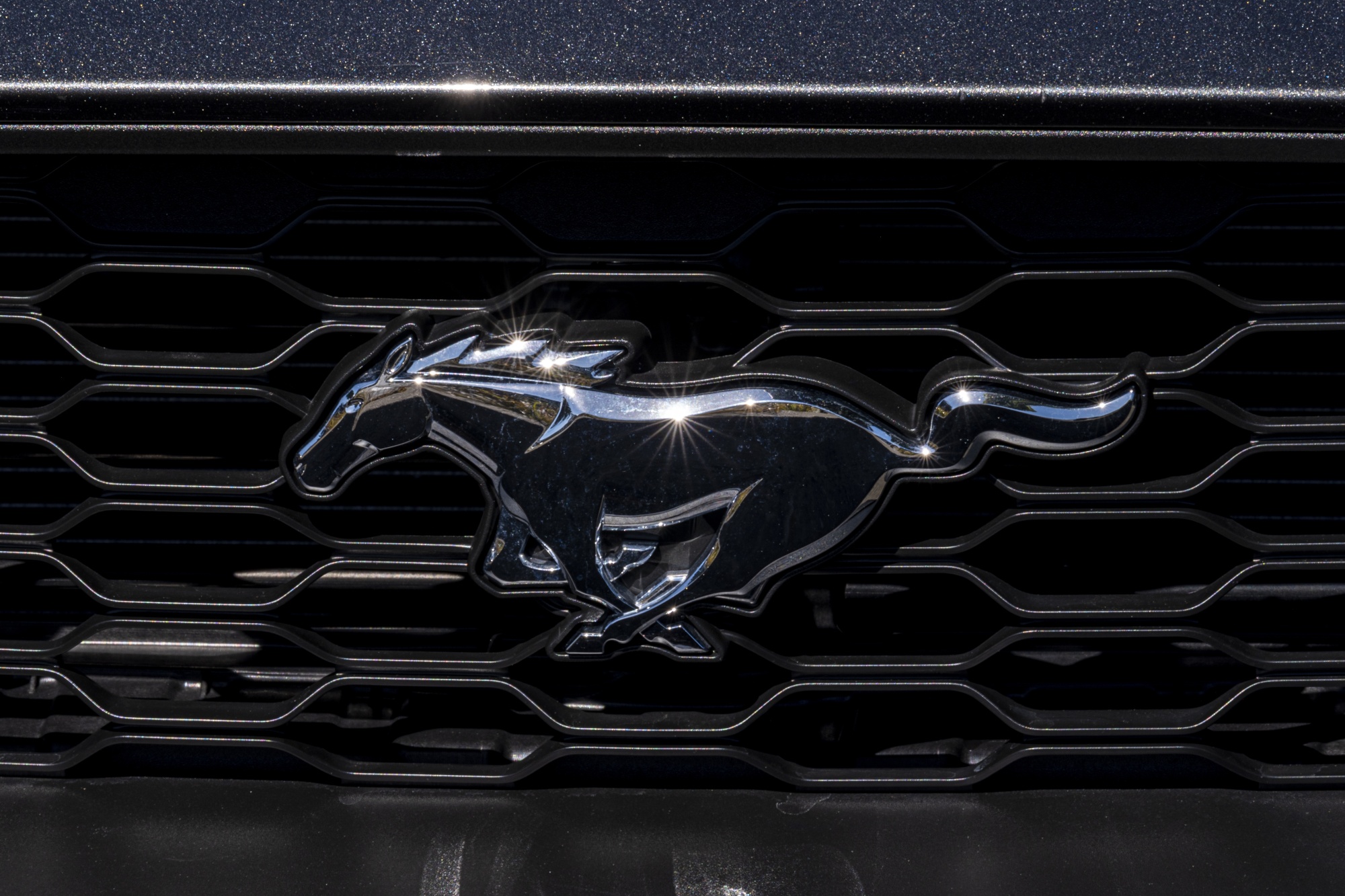 Mustang Logo Wallpaper Black