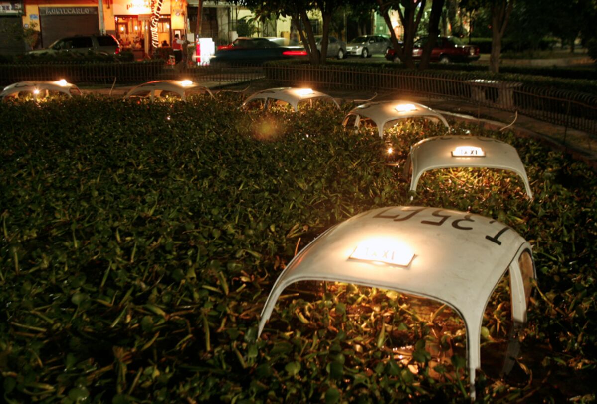 6 Hyper Exotic Urban Gardens - Bloomberg