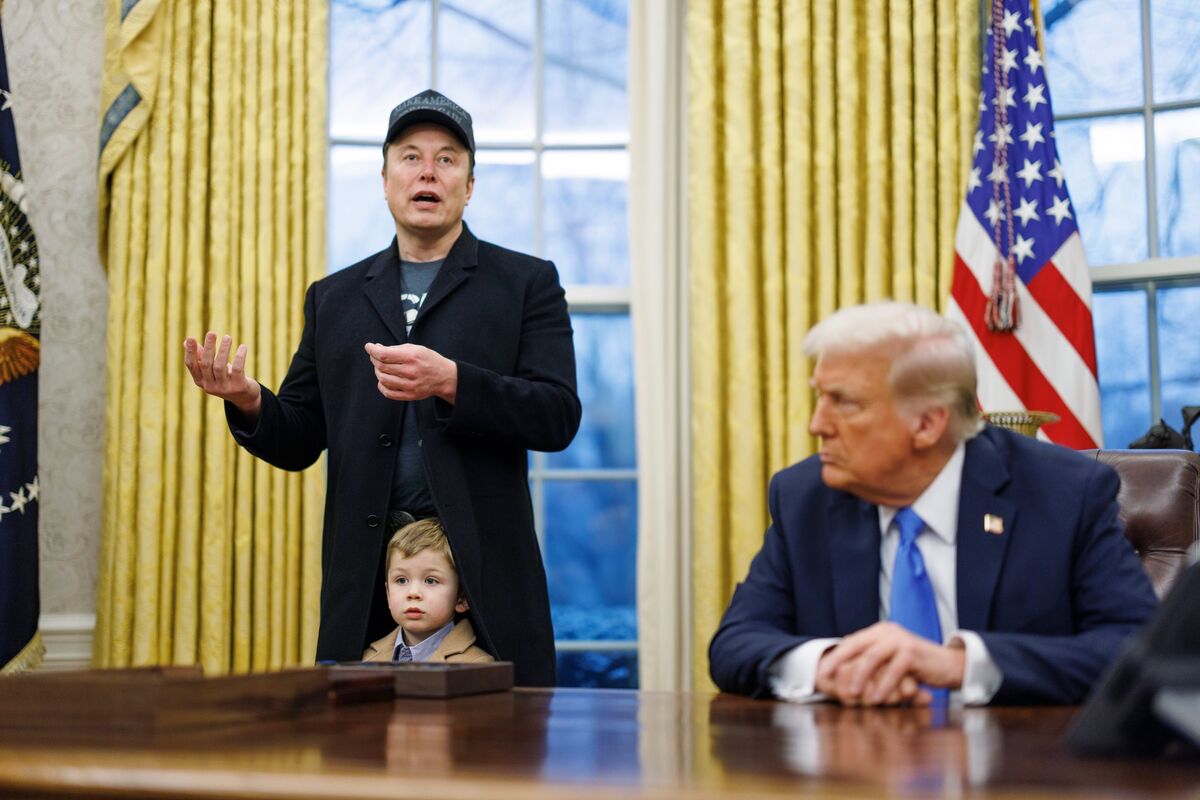Elon Musk and DOGE Powers Expand While Staff and Remit Stay Shrouded ...