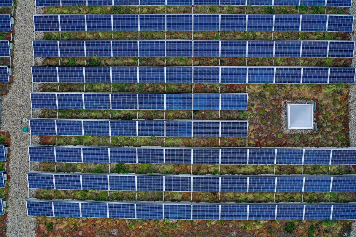 BlackRock (BLK) Unveils Climate Funds Targeting Toughest ESG Clients ...