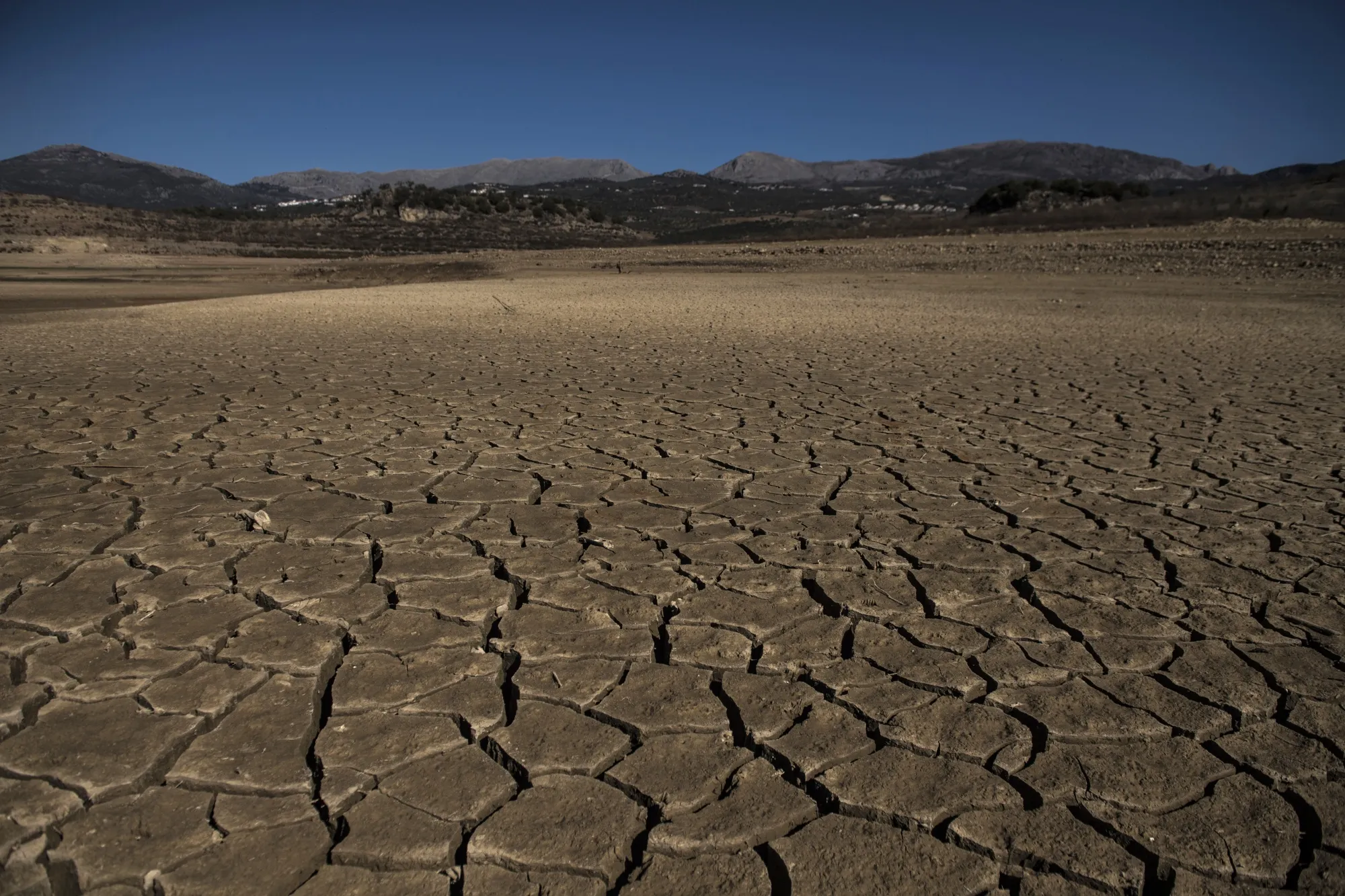UN: Droughts, Less Water in Europe as Warming Wrecks Crops - Bloomberg