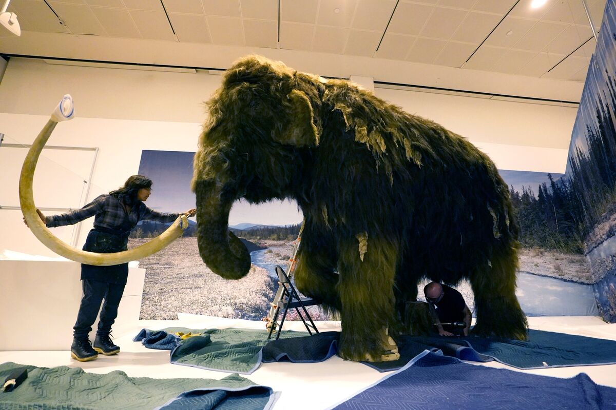 Woolly Mice and Mammoths? Mars? Let's Take Care of What We've Got ...