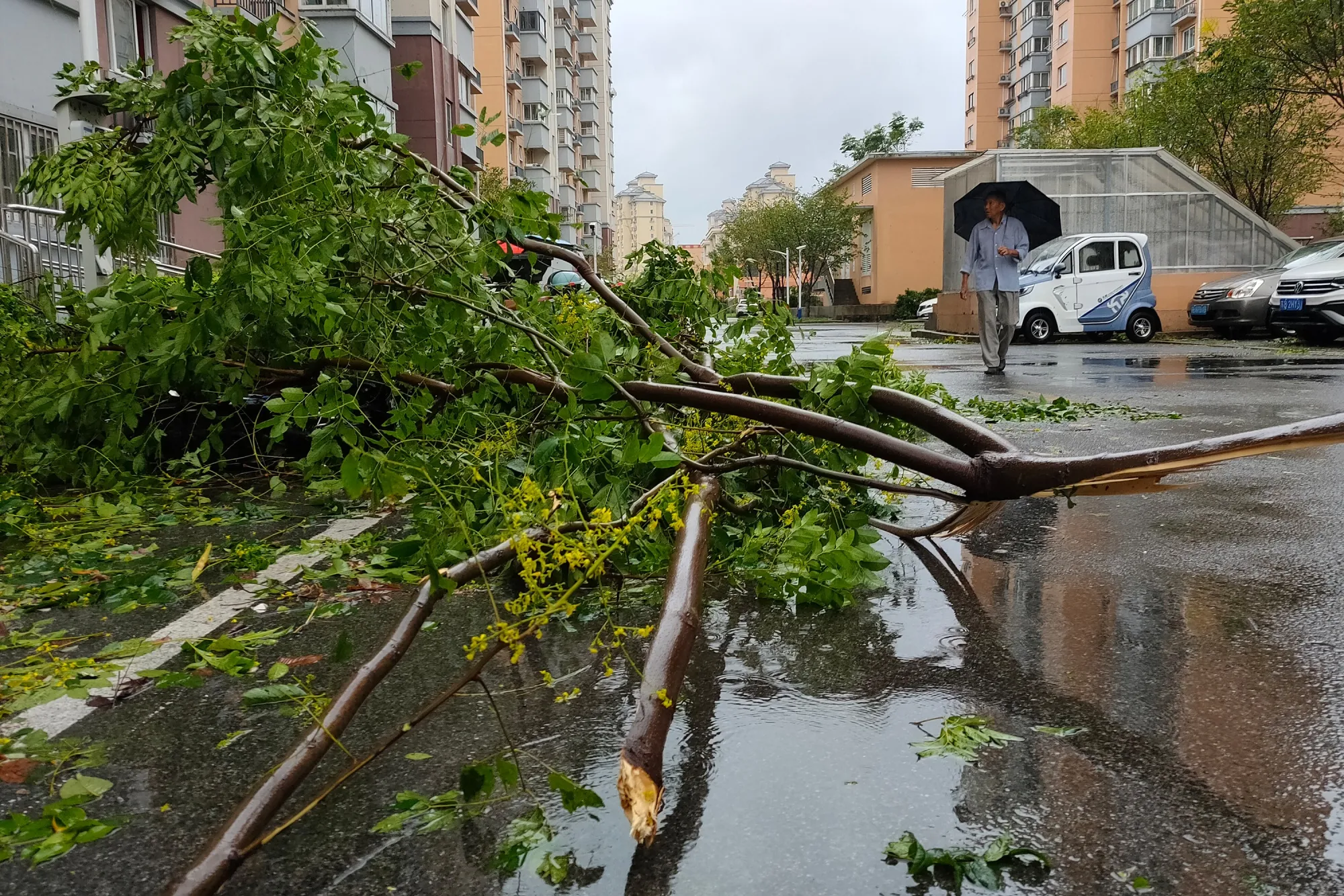China Prepares for Another Typhoon After Bebinca Lashes East - Bloomberg