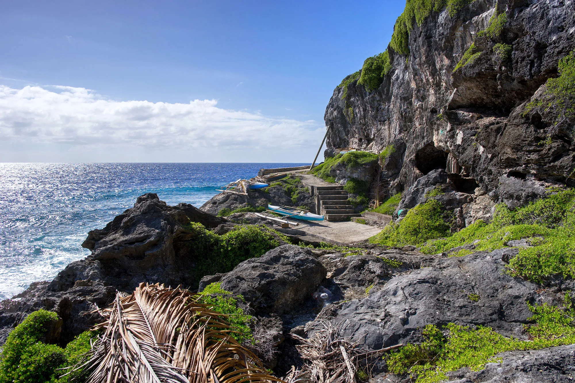 Move Over, Highways. Now You Can Sponsor an Ocean Sanctuary - Bloomberg