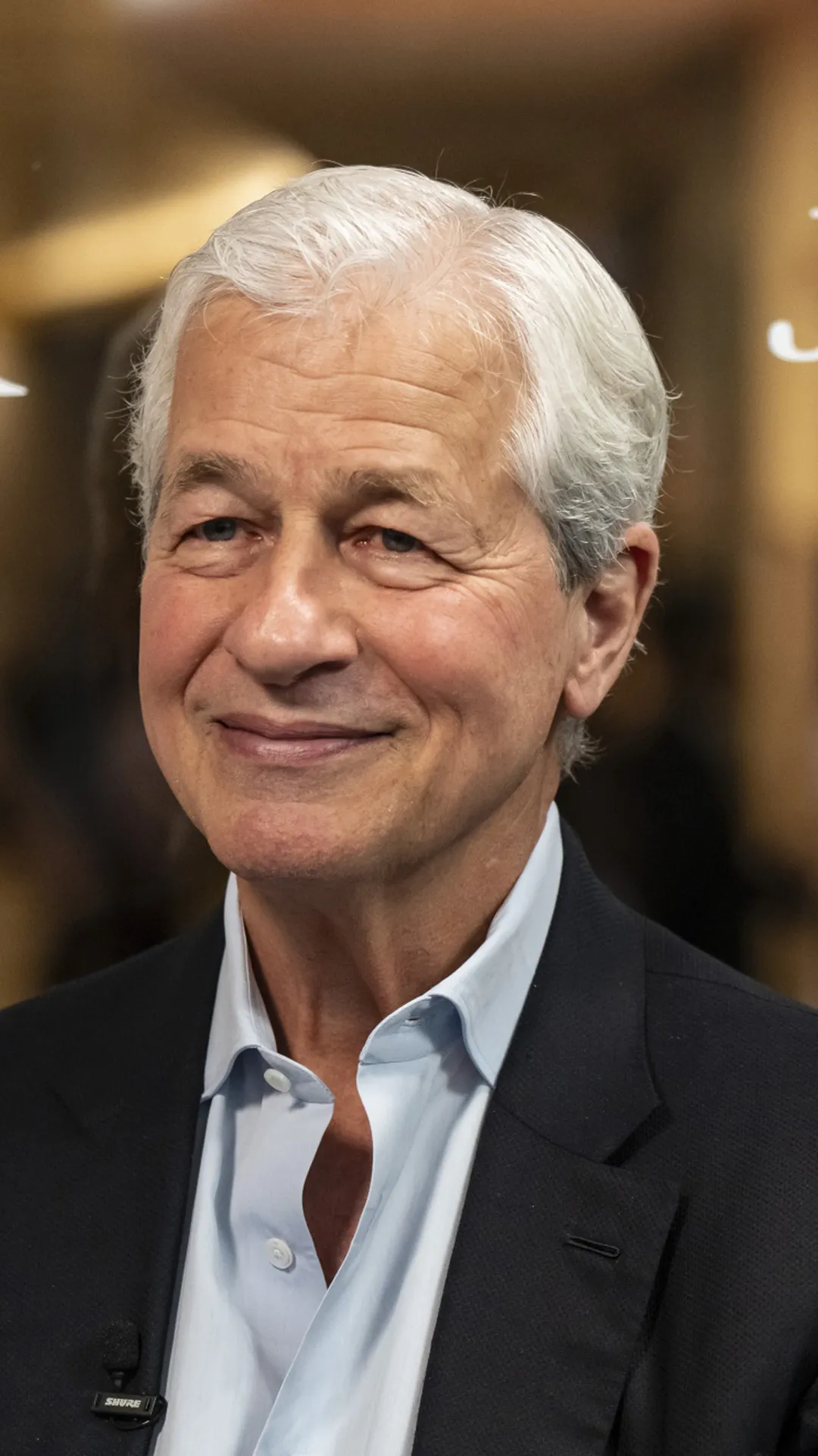Watch JPMorgan's Dimon on Bill Winters AI Job Comments - Bloomberg